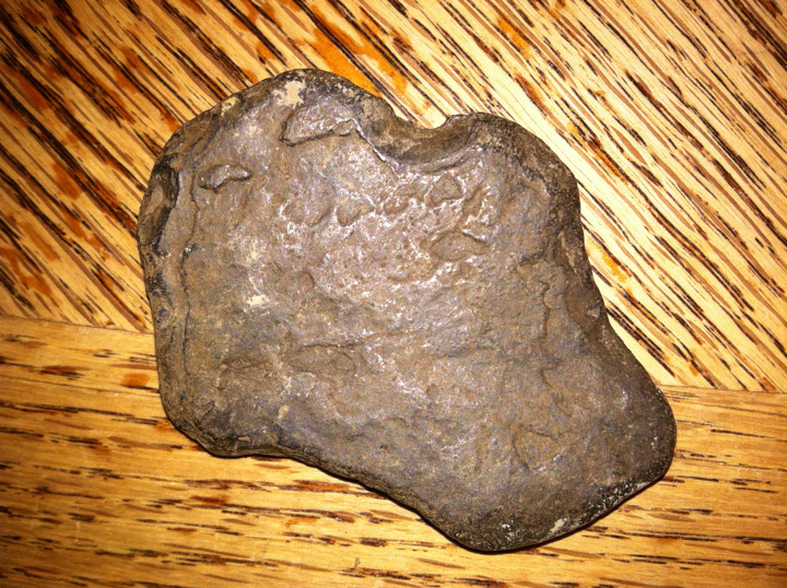 Fish Tail Impression Versus Pseudofossil From Gmr - Fossil ID - The ...