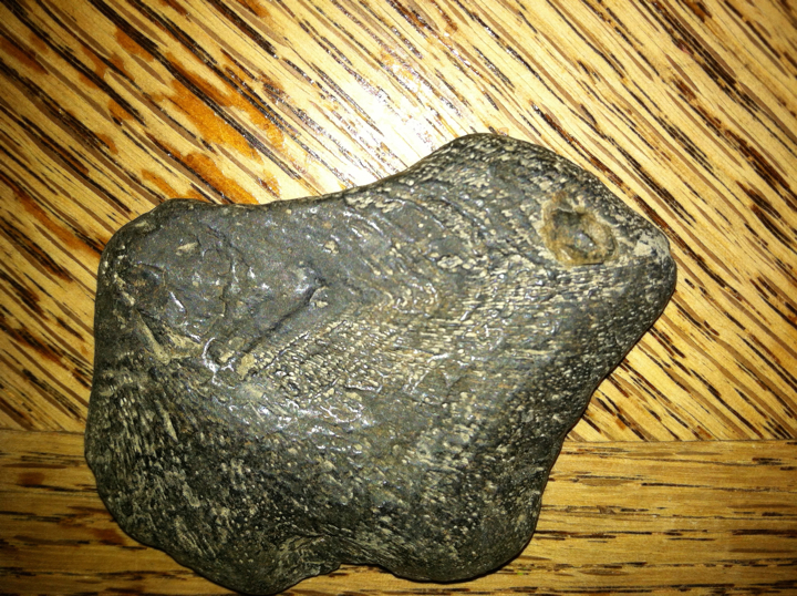 Fish Tail Impression Versus Pseudofossil From Gmr - Fossil ID - The ...