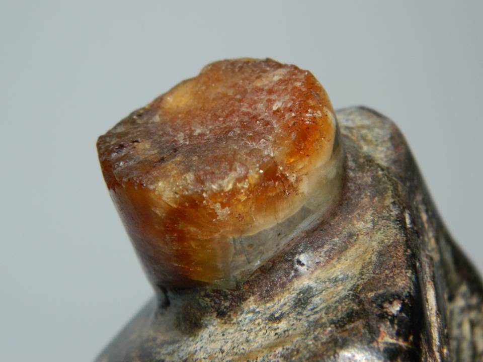 Petrified Bone With Orange Mineral In The Marrow, What Is It? - Fossil ...