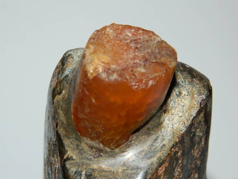 Petrified Bone With Orange Mineral In The Marrow, What Is It? - Fossil ...