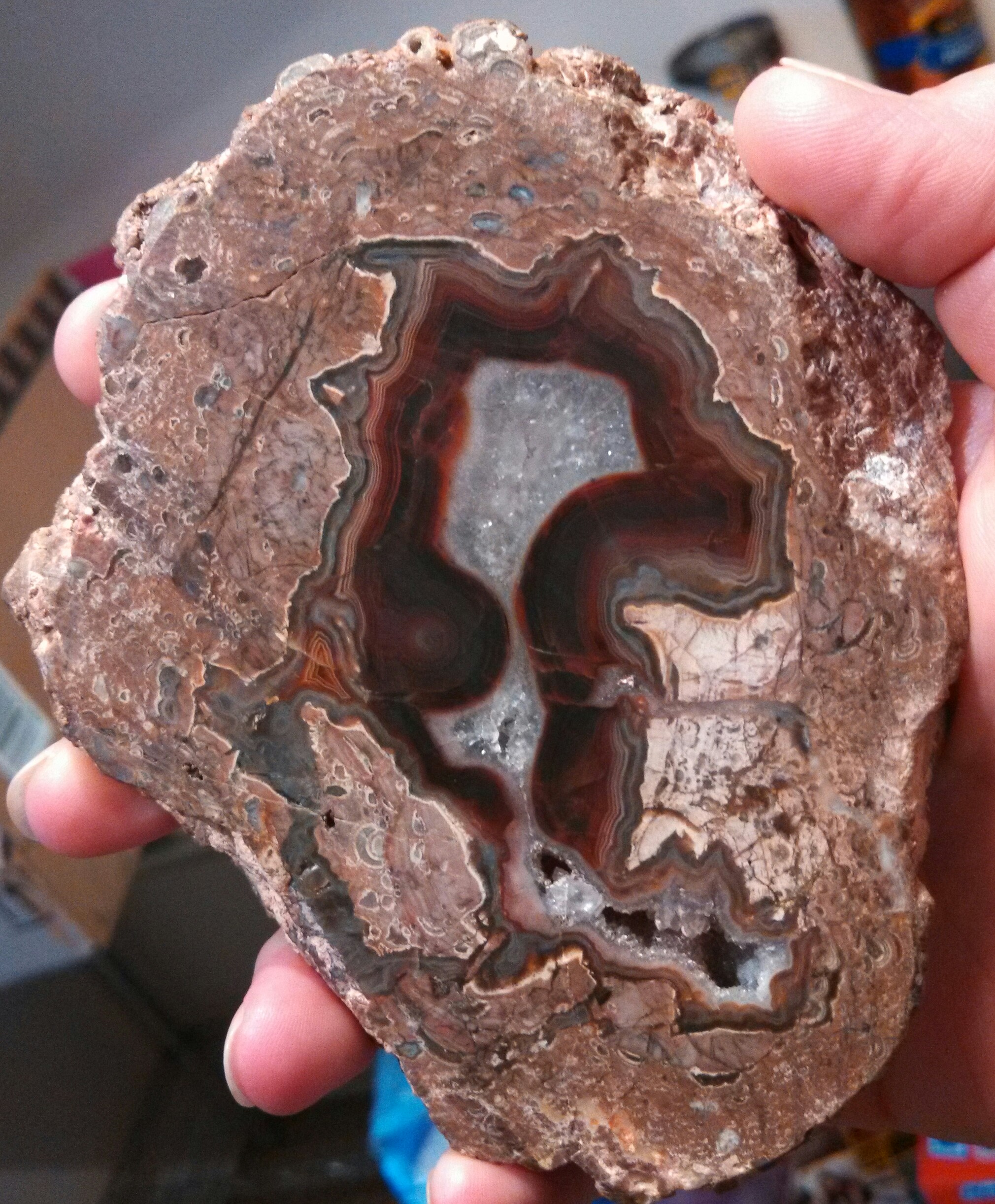 Geode Slice.... Quartz? - Rocks & Minerals - The Fossil Forum