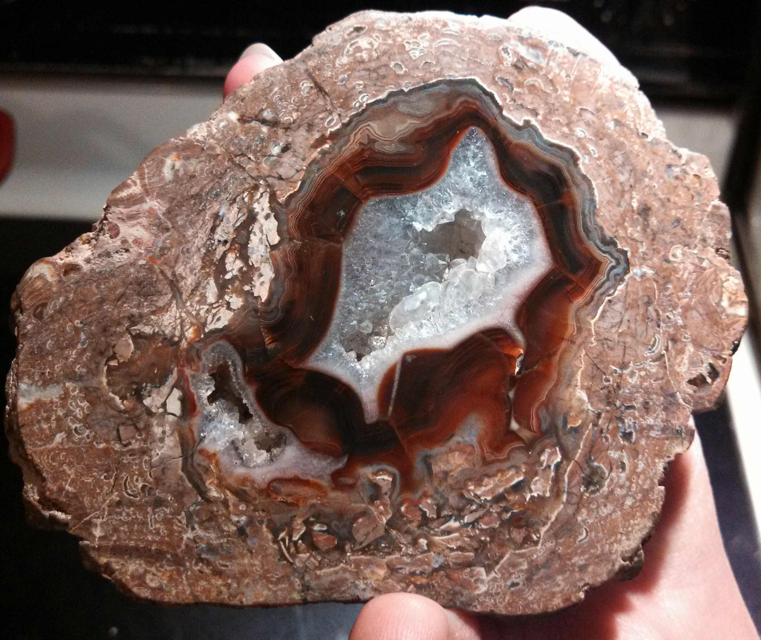Geode Slice.... Quartz? - Rocks & Minerals - The Fossil Forum