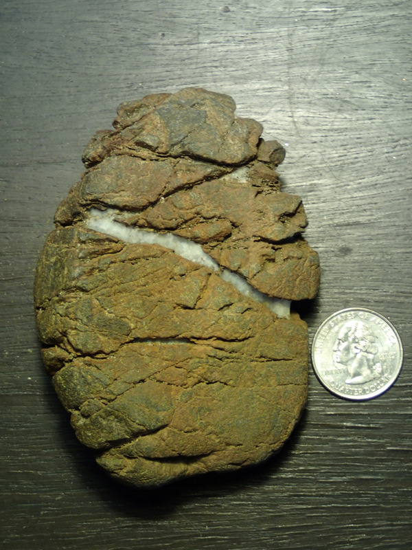 Back From Pacific Northwest Trip - General Fossil Discussion - The ...