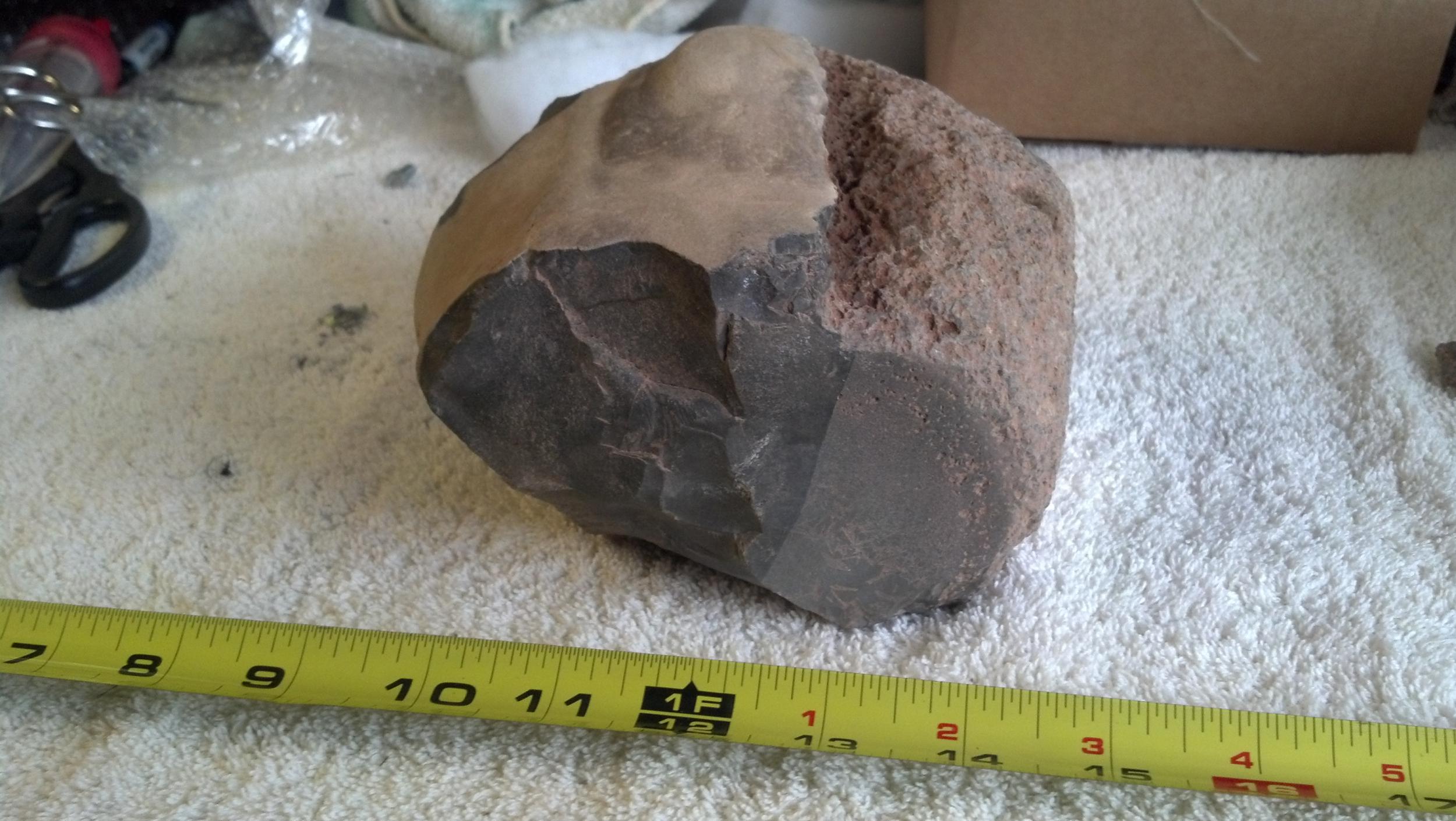 Bone Fossil Found In Door County Wisconsin - Fossil ID - The Fossil Forum
