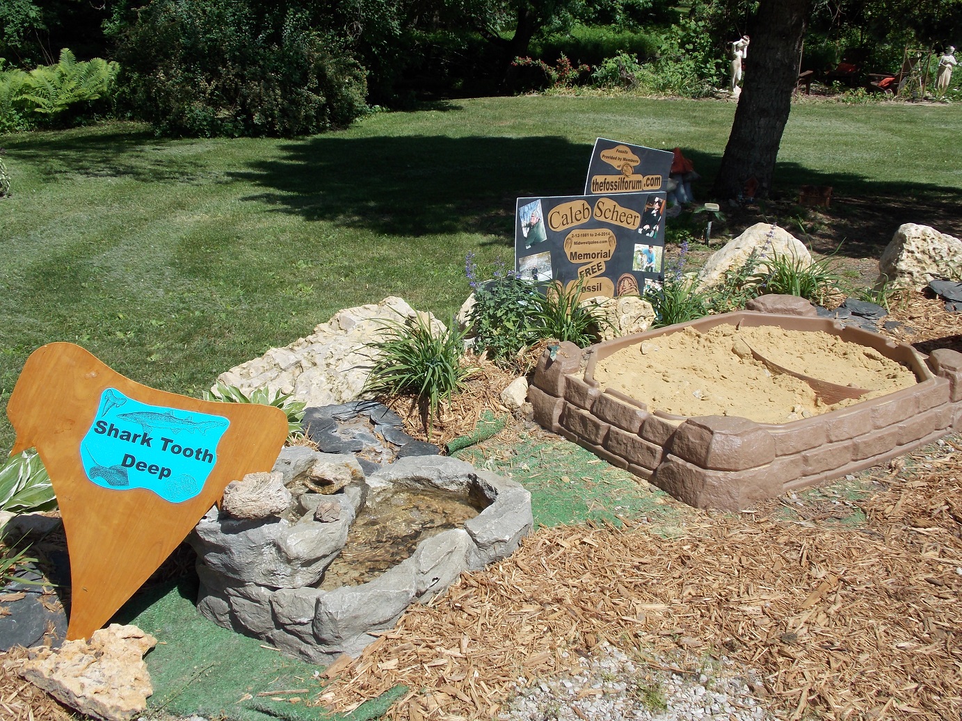 Kids Fossil Tour - General Fossil Discussion - The Fossil Forum
