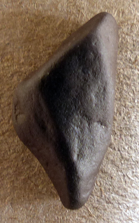 Tooth Or Stone? - Fossil ID - The Fossil Forum