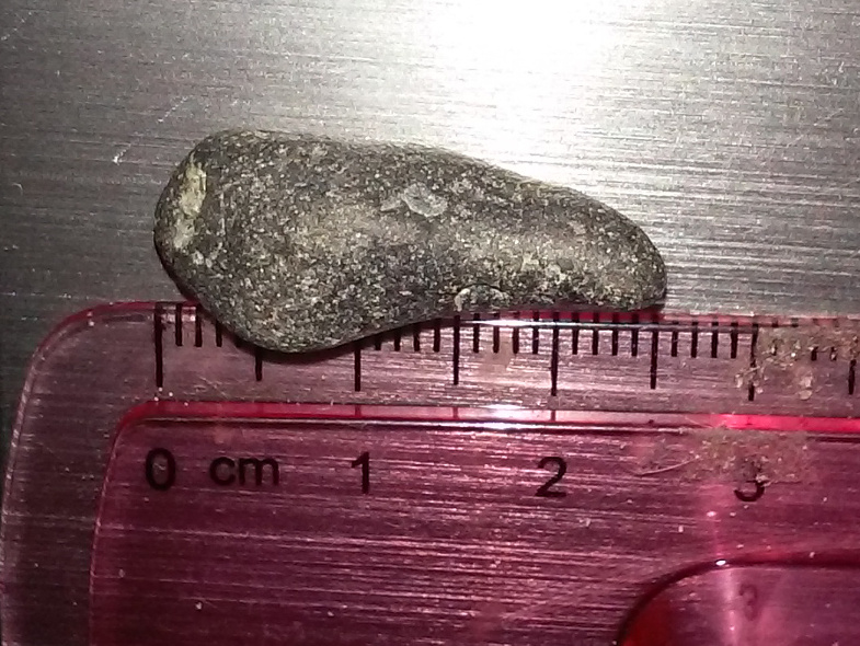 Fossil Or Rock? - Fossil ID - The Fossil Forum