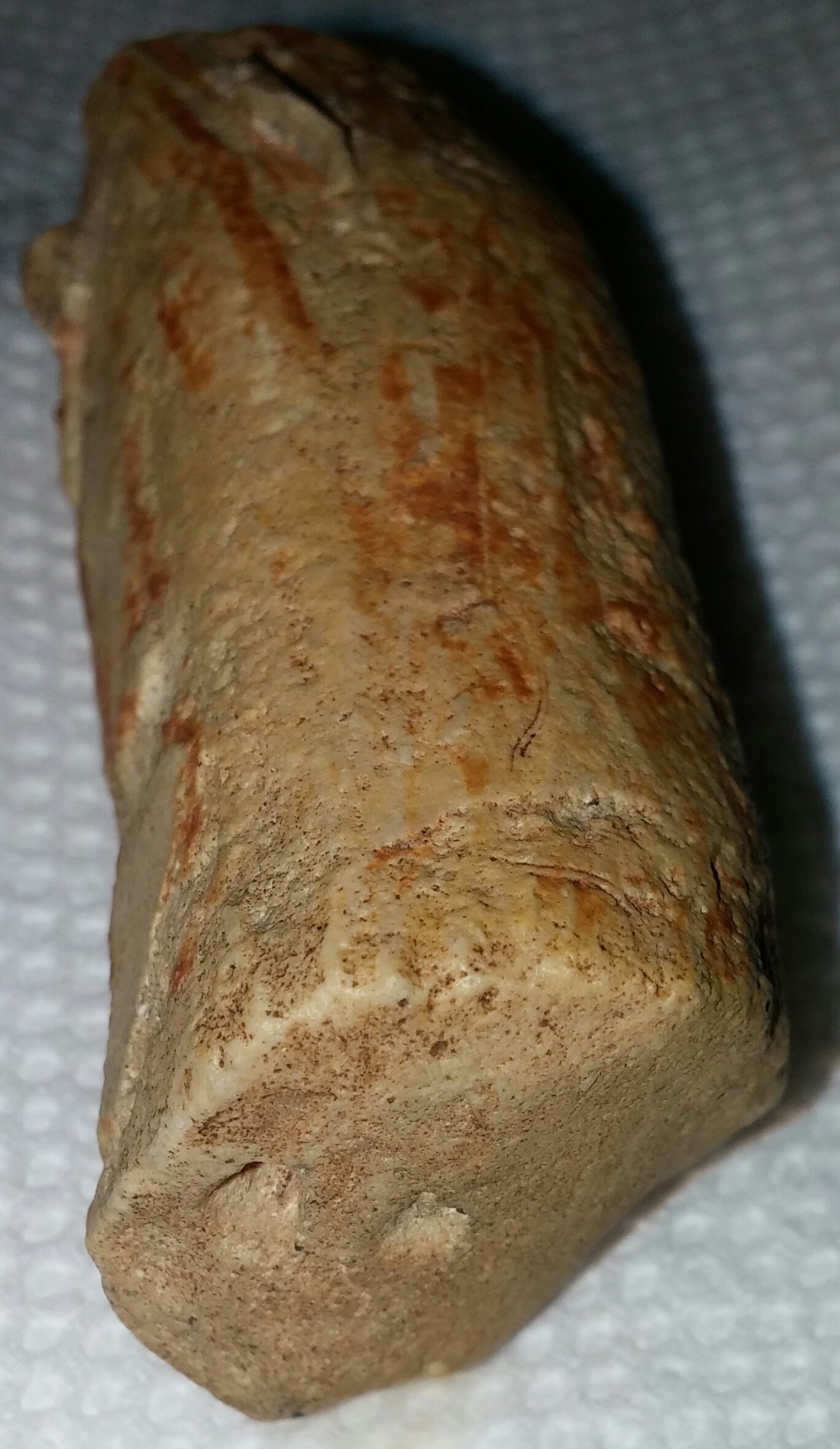 Tusk fragment? - Fossil ID - The Fossil Forum