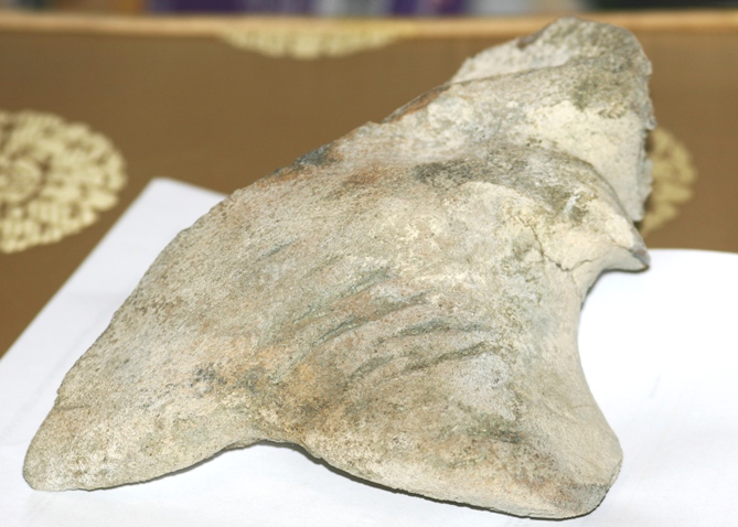 Predation Marks - General Fossil Discussion - The Fossil Forum
