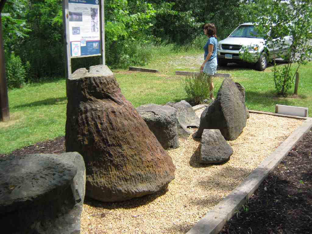 The Gilboa Museum - Devonian Forest Fossils! - A Trip to the Museum ...