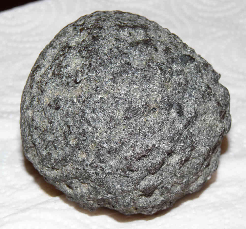 Ball? - Fossil ID - The Fossil Forum