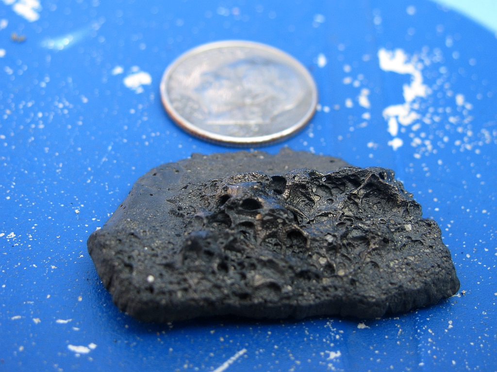 Really Worn Ray Mouth Plate ? - Fossil ID - The Fossil Forum