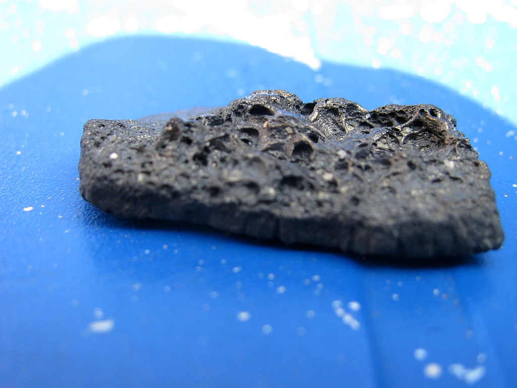 Really Worn Ray Mouth Plate ? - Fossil ID - The Fossil Forum