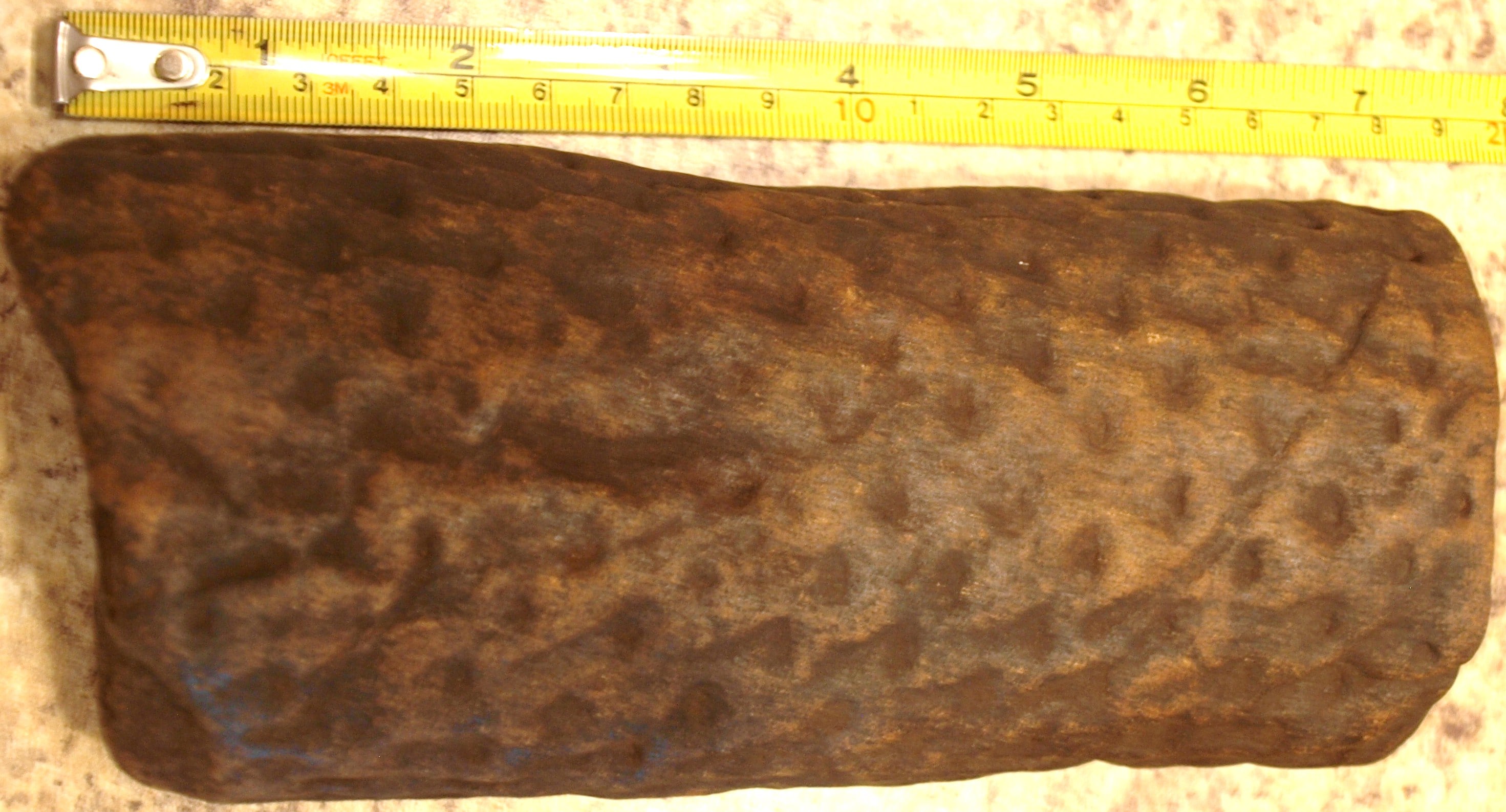 The Wow Factor! - Fossil Hunting Trips - The Fossil Forum