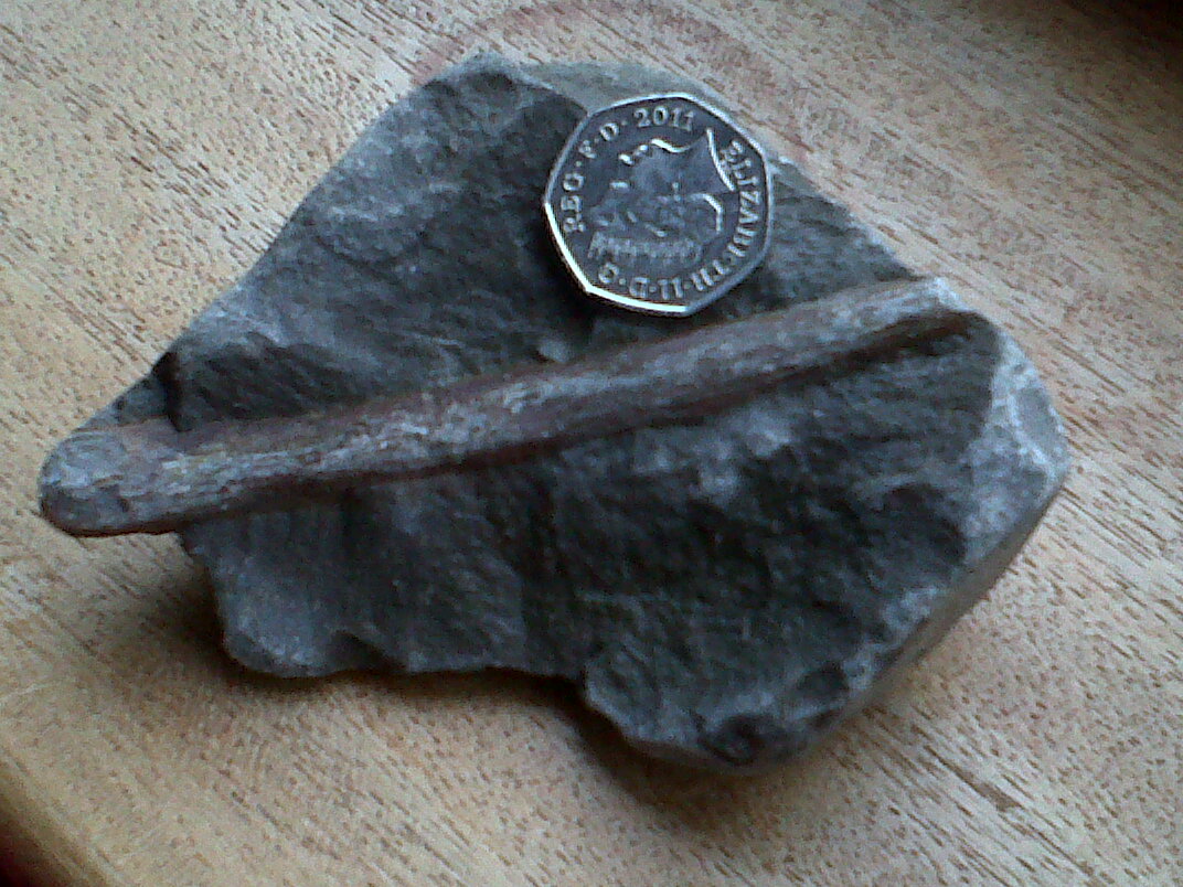 Is This A Marine Dinosaurs Rib? From Penarth In Wales - Fossil ID - The ...