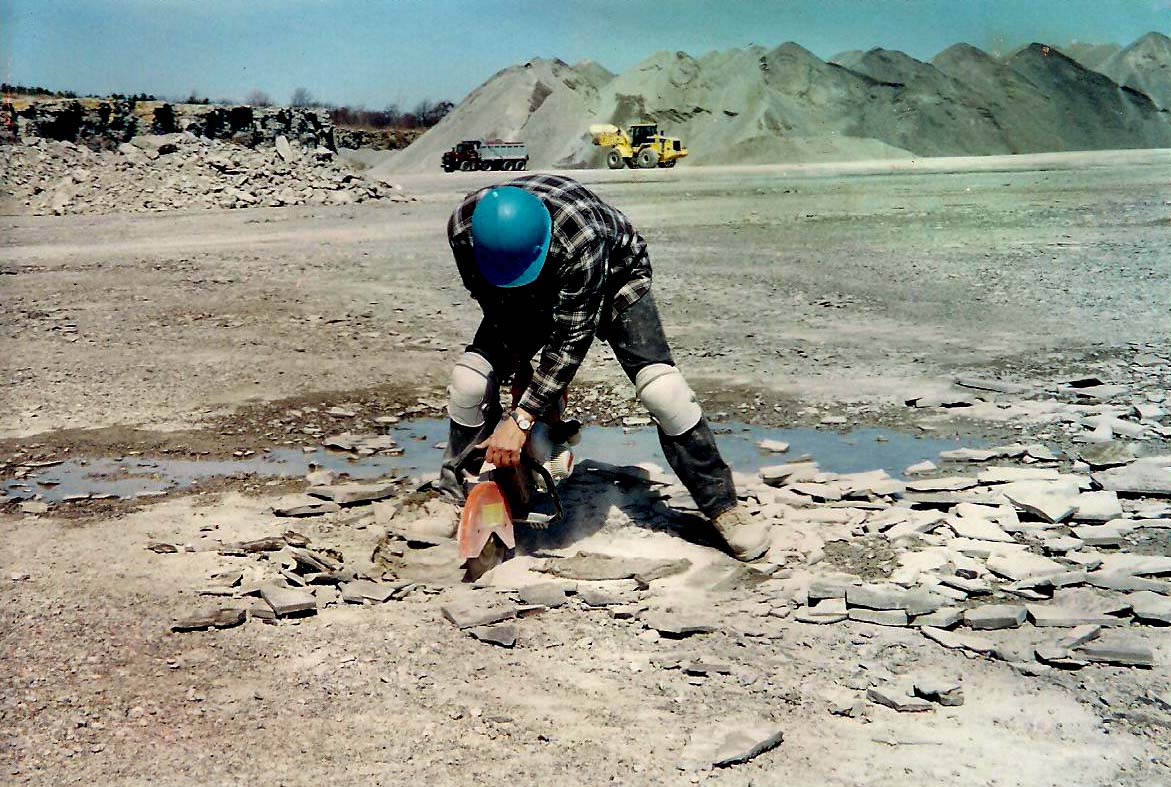 Portable Rock Saw For The Field? - Collecting Gear - The Fossil Forum