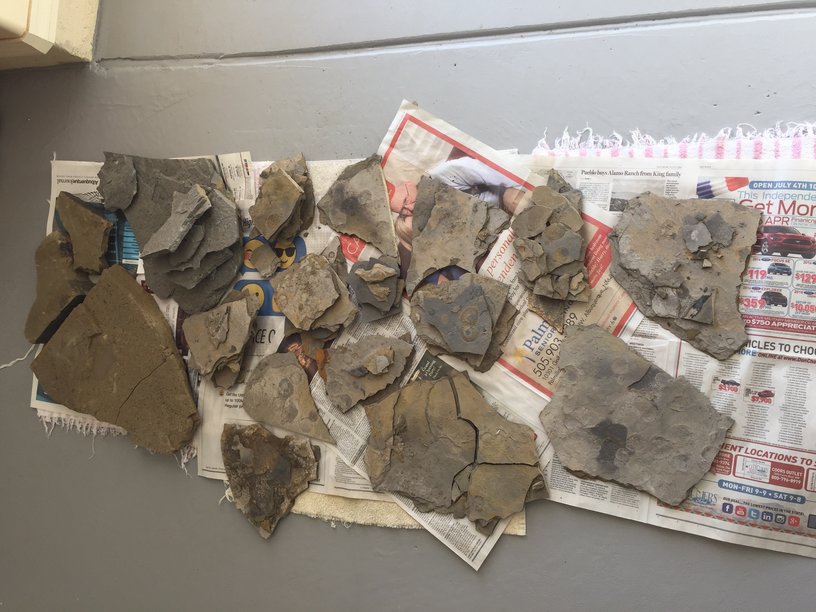 Albuquerque windmill site or Kinney brick quarry this week - Fossil ...