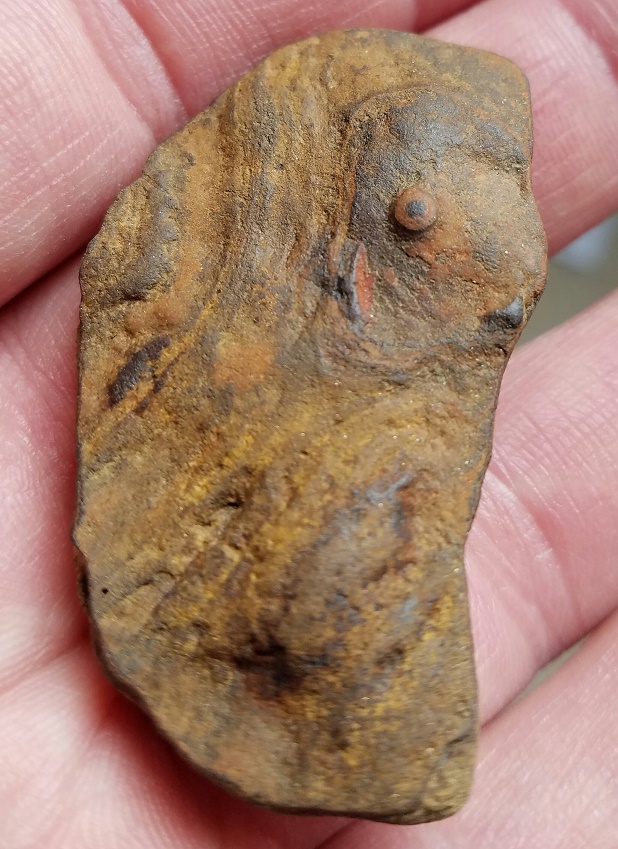 300,000,000 year old air bubble? - General Fossil Discussion - The ...