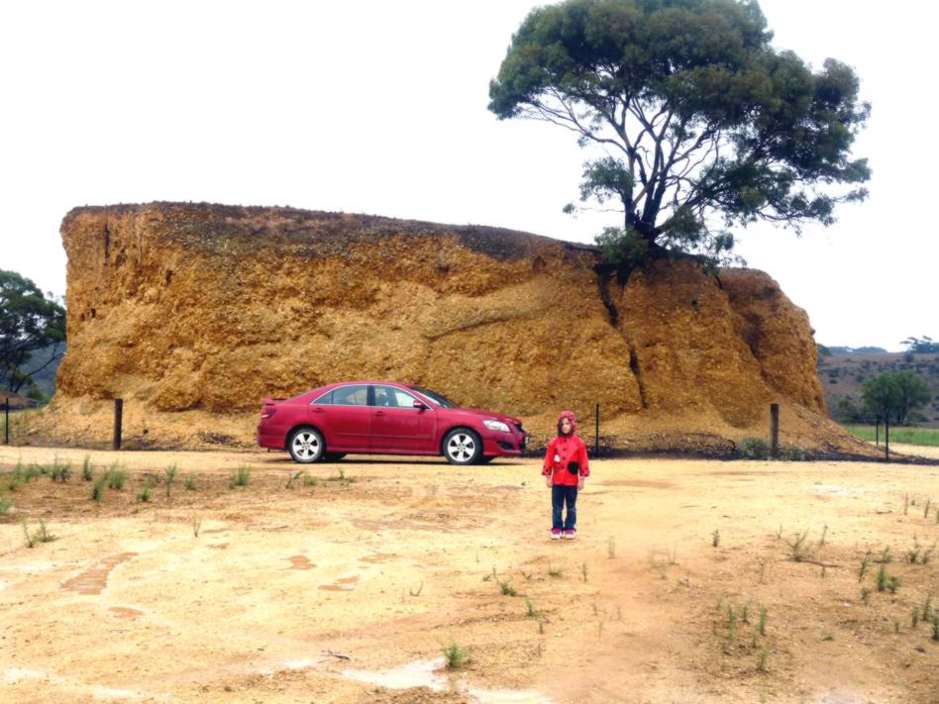Shell Hill (Australia) - Fossil Hunting Trips - The Fossil Forum