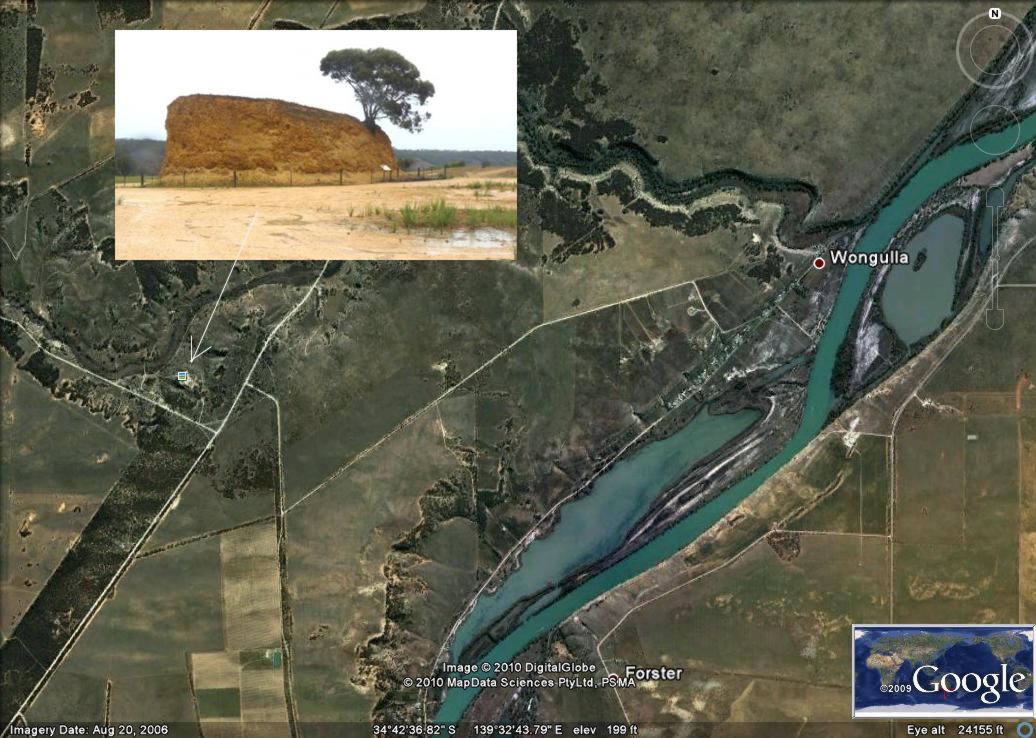 Shell Hill (Australia) - Fossil Hunting Trips - The Fossil Forum