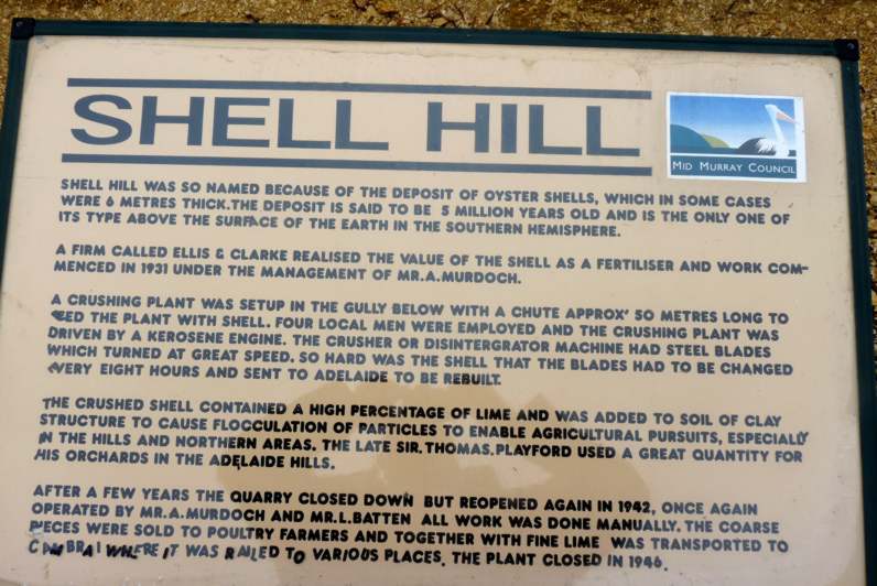 Shell Hill (Australia) - Fossil Hunting Trips - The Fossil Forum