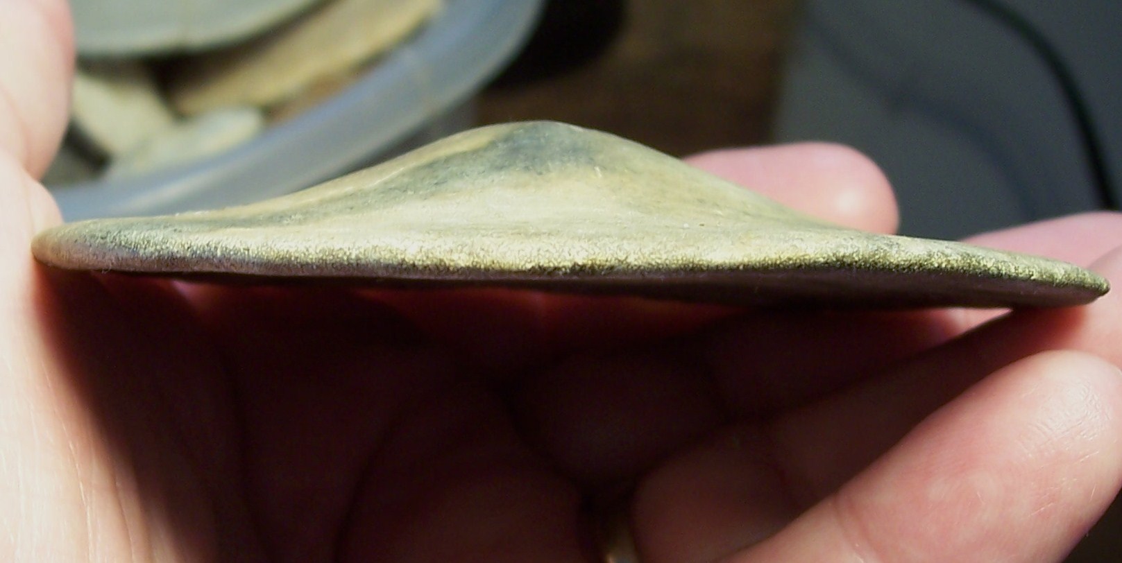 Echinoid Periachus New Sub-Species? - Fossil ID - The Fossil Forum