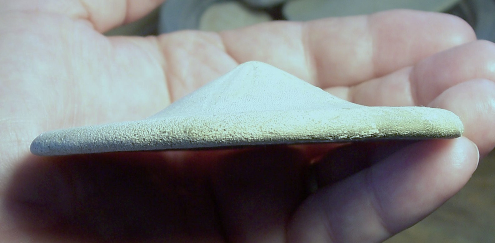 Echinoid Periachus New Sub-Species? - Fossil ID - The Fossil Forum