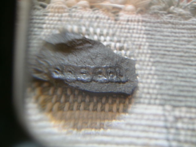 Leaf, Caterpillar, What? - Fossil ID - The Fossil Forum
