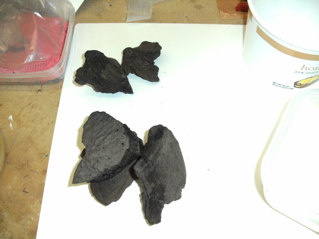 Butvar 76 Bone Frosting Solved - Questions & Answers - The Fossil Forum