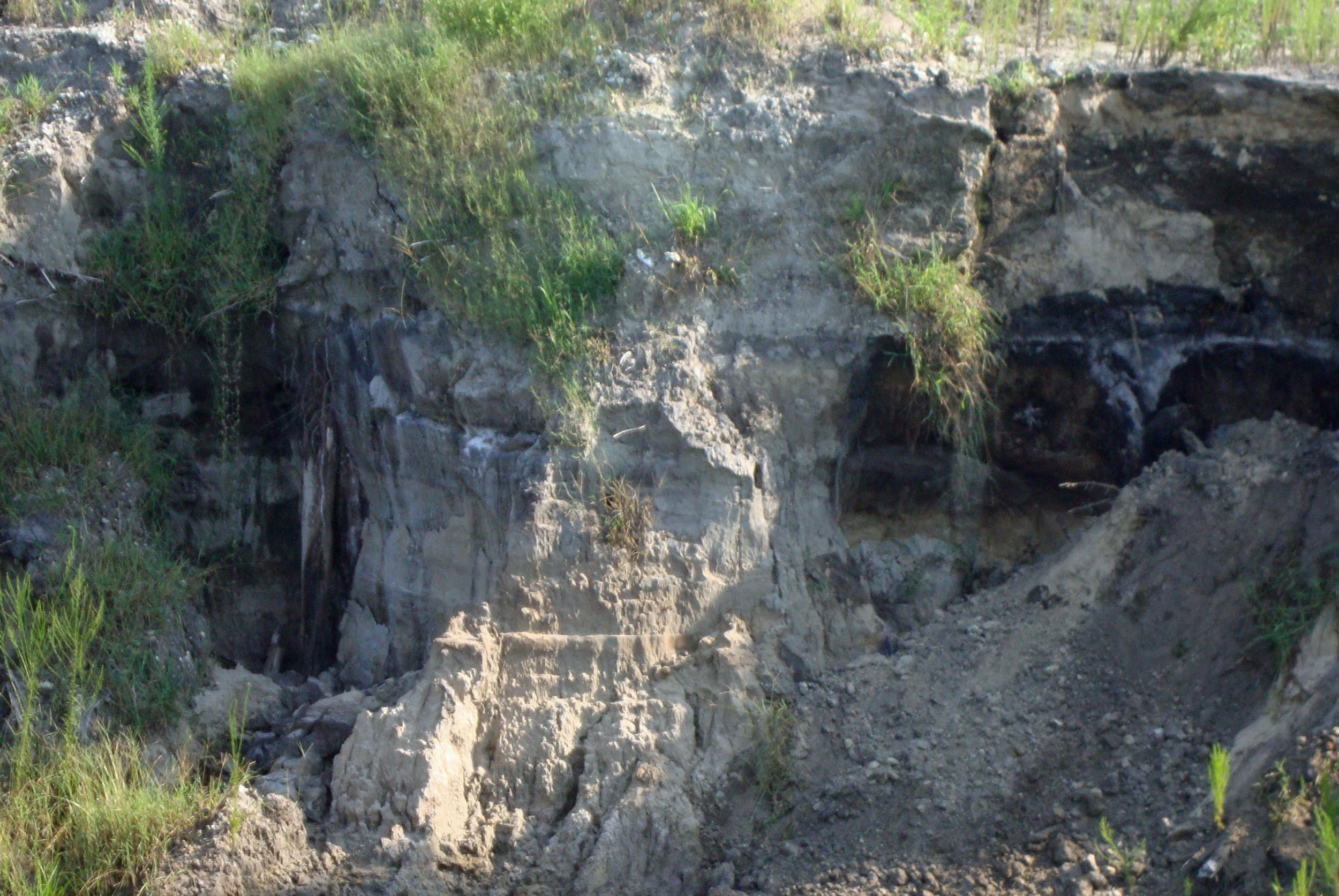 Back At The Quarry This Morning! - Fossil Hunting Trips - The Fossil Forum