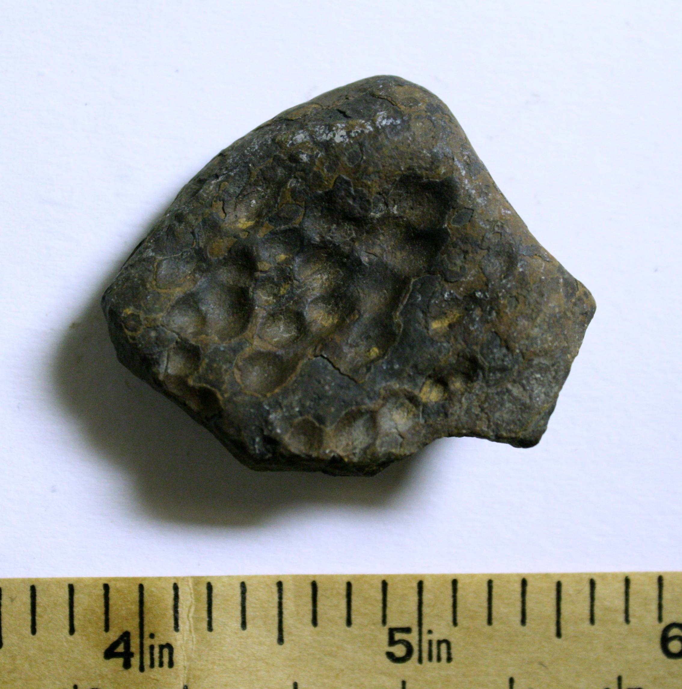 Meteorite Or Meteorwrong? - Rocks & Minerals - The Fossil Forum