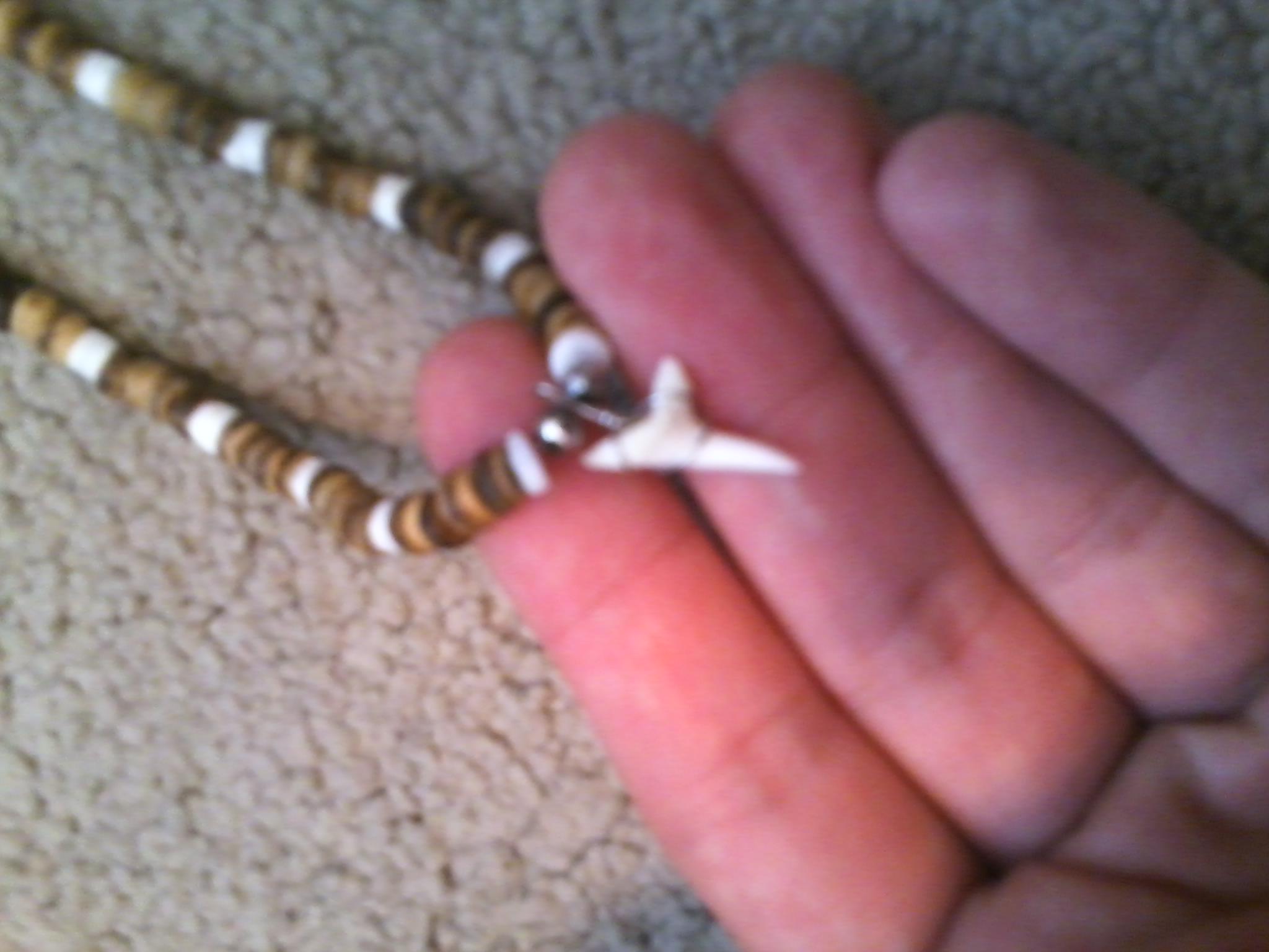 Real Or Fake? - Questions & Answers - The Fossil Forum