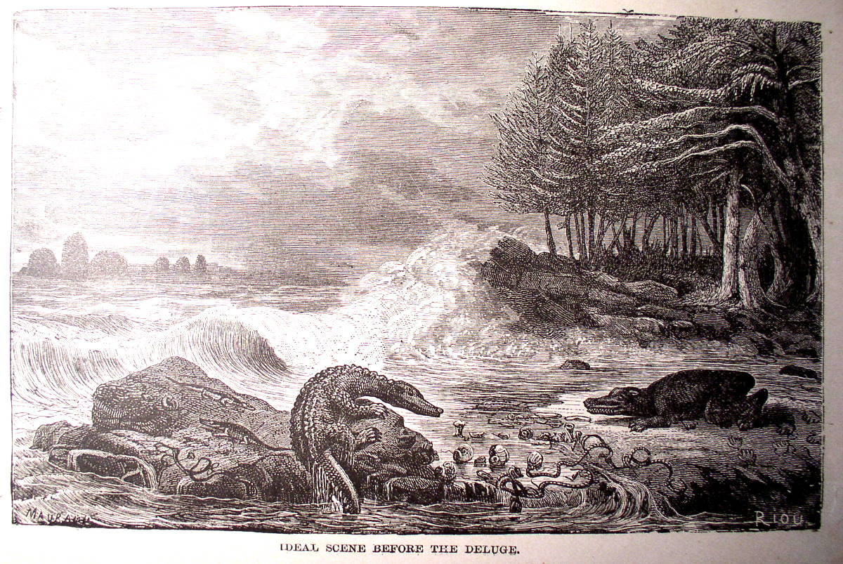 Early Depictions Of Ancient Animals - Page 2 - General Fossil ...