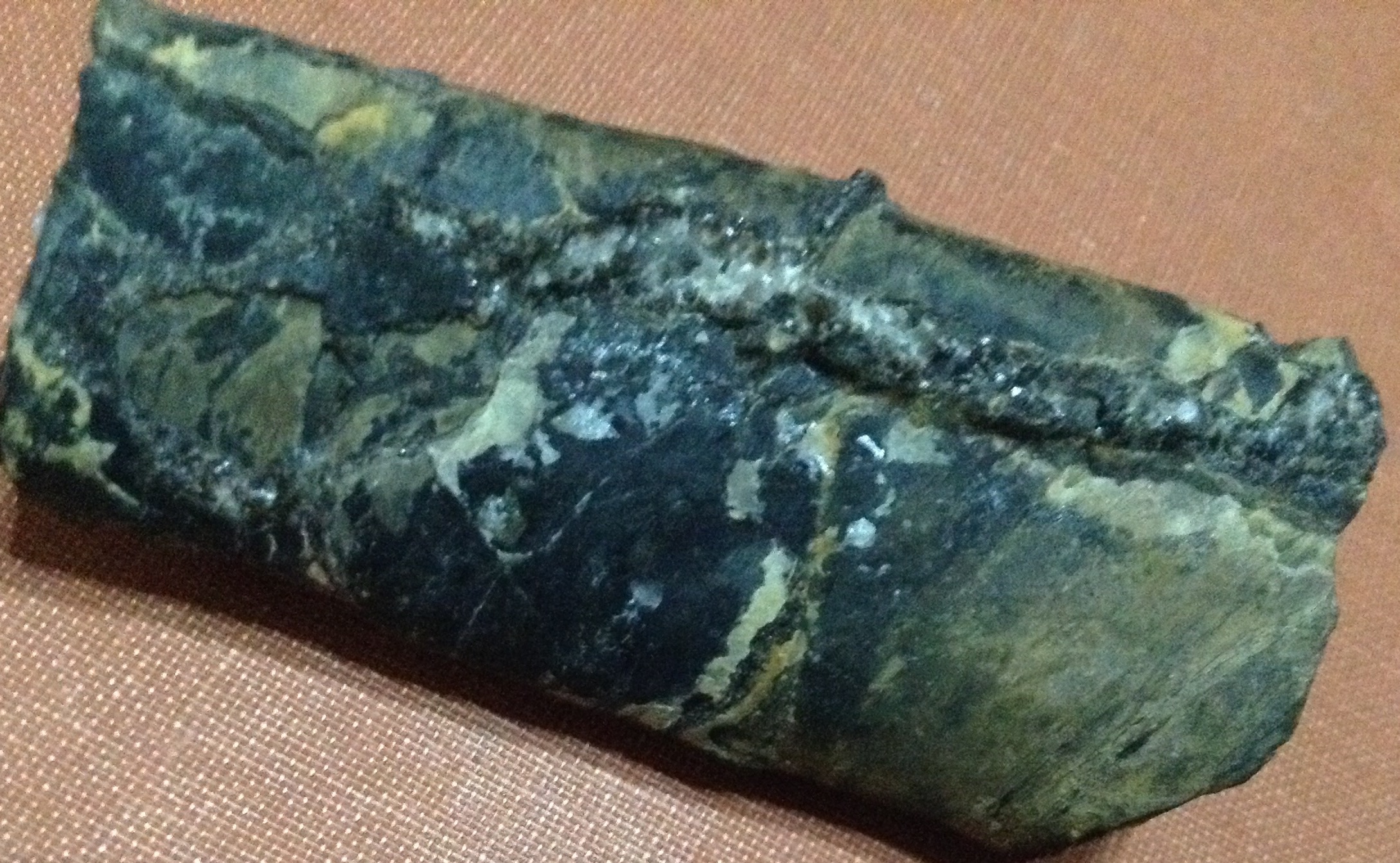Baculite Fossils - Fossil ID - The Fossil Forum
