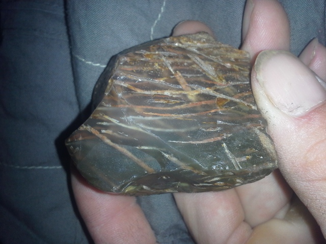 Help With Rock Clear With Full Of Moss ? - Fossil ID - The Fossil Forum