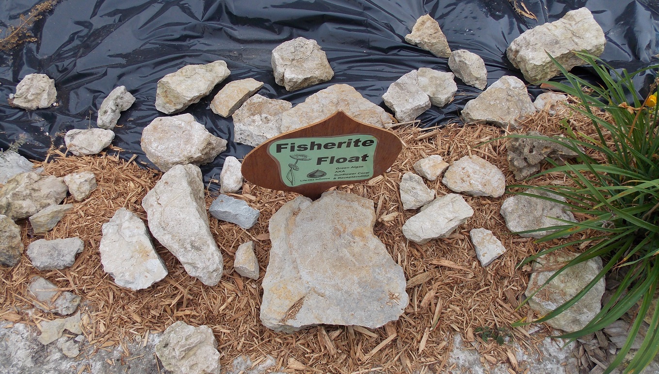 Fossil Tour Example - General Fossil Discussion - The Fossil Forum