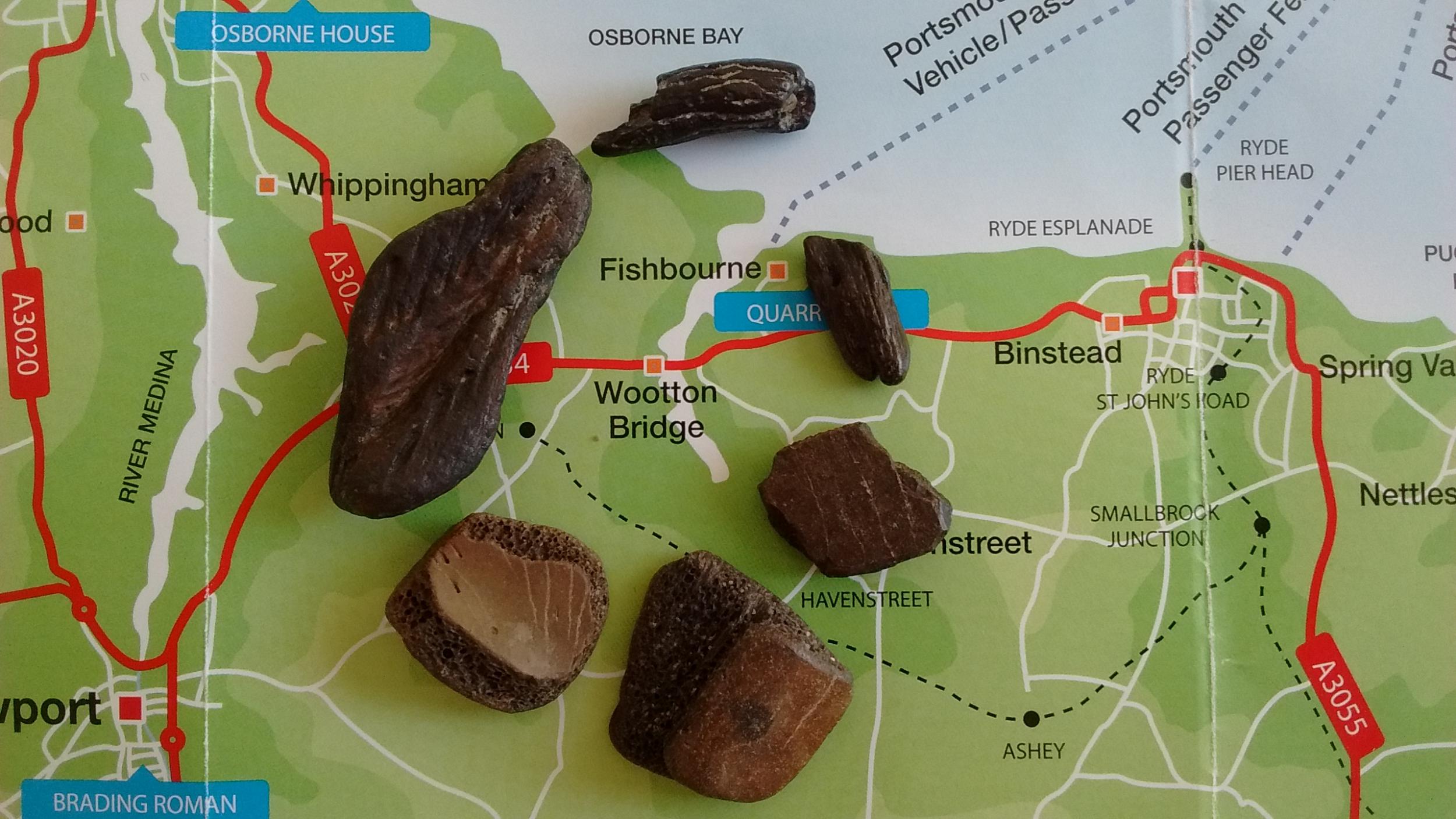 Off the beaten track for an IOW fossil hunt. - Fossil Hunting Trips ...