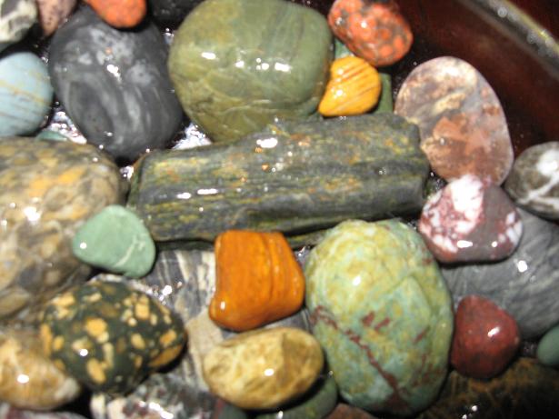 Washington State Beach Finds - Member Collections - The Fossil Forum