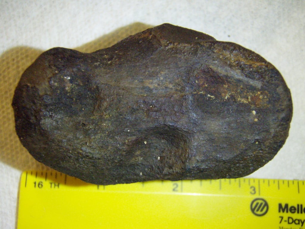 "Cretaceous? Pleistocene? large bone from NJ" - Fossil ID - The Fossil ...