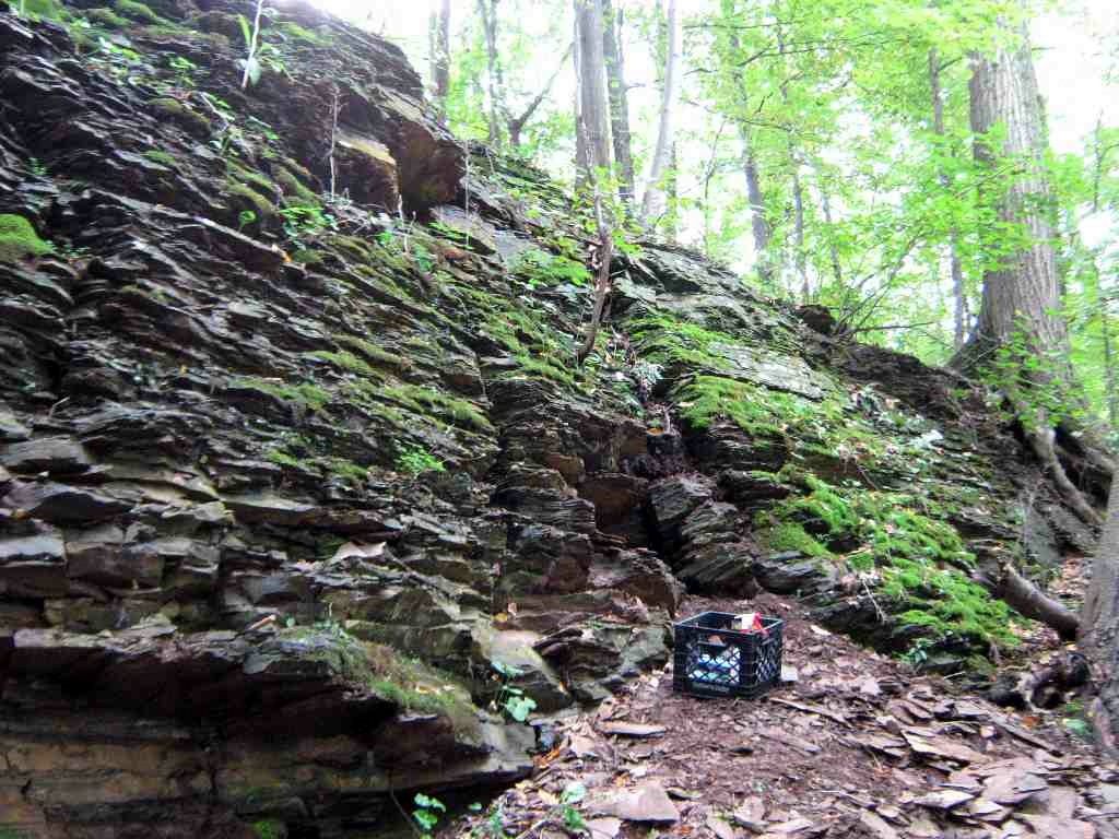 Hunting For Jurassic Conifer Twigs. Pic Heavy - Fossil Hunting Trips ...