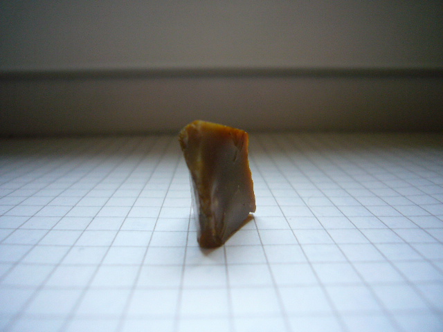 Flint Tools? - Fossil ID - The Fossil Forum
