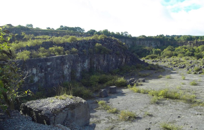 Lower Carboniferous Quarry - Fossil Hunting Trips - The Fossil Forum