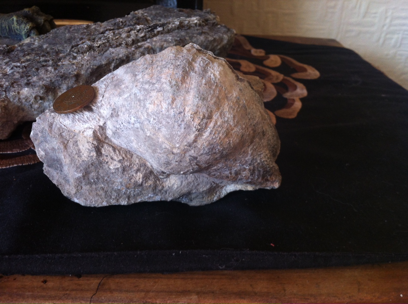 Llangollen, Wales Fossils - Fossil ID - The Fossil Forum