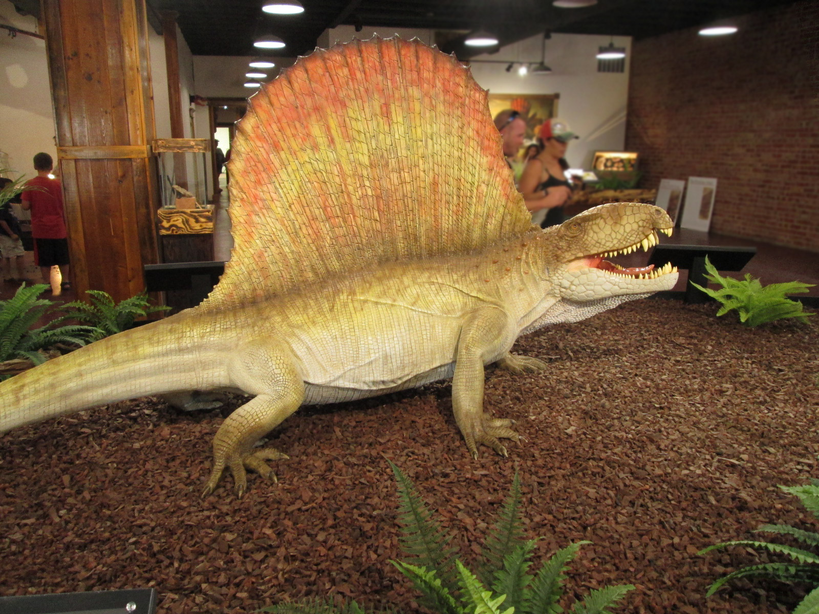 Digging The Texas Red Beds - Fossil Hunting Trips - The Fossil Forum