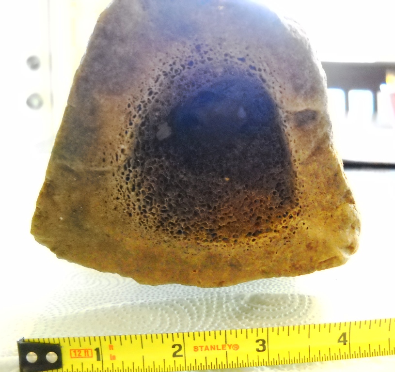 Big Bone! - Fossil ID - The Fossil Forum