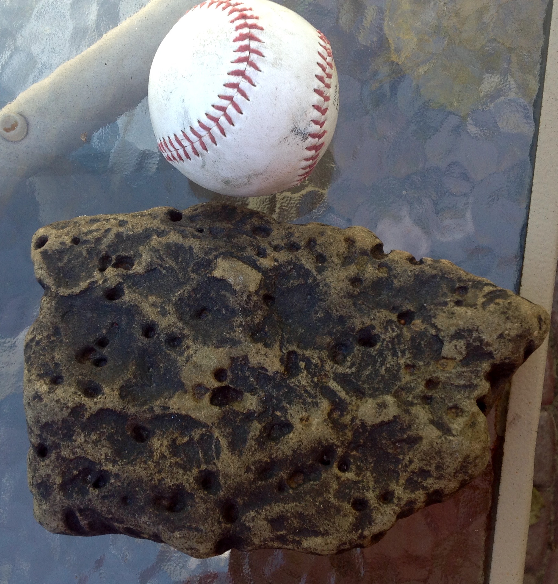 What is it? Rock with worm holes? - General Fossil Discussion - The ...