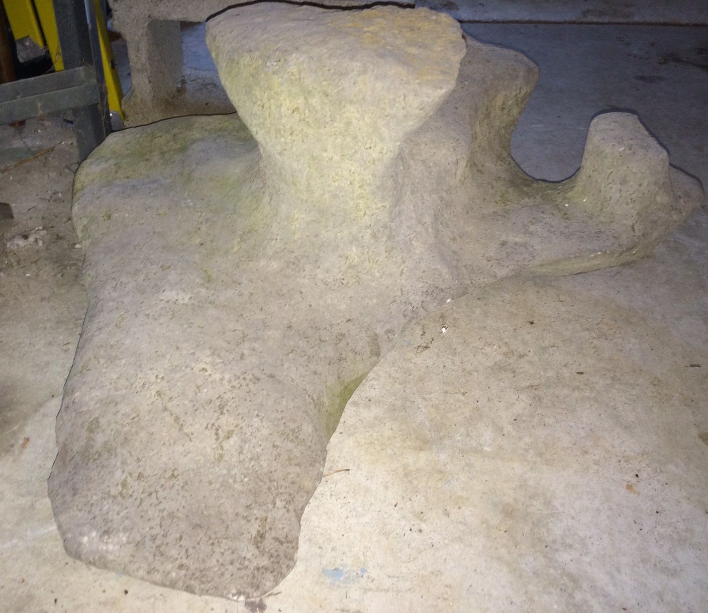 Is This A Fossil Or Just A Rock/concrete? - Fossil ID - The Fossil Forum