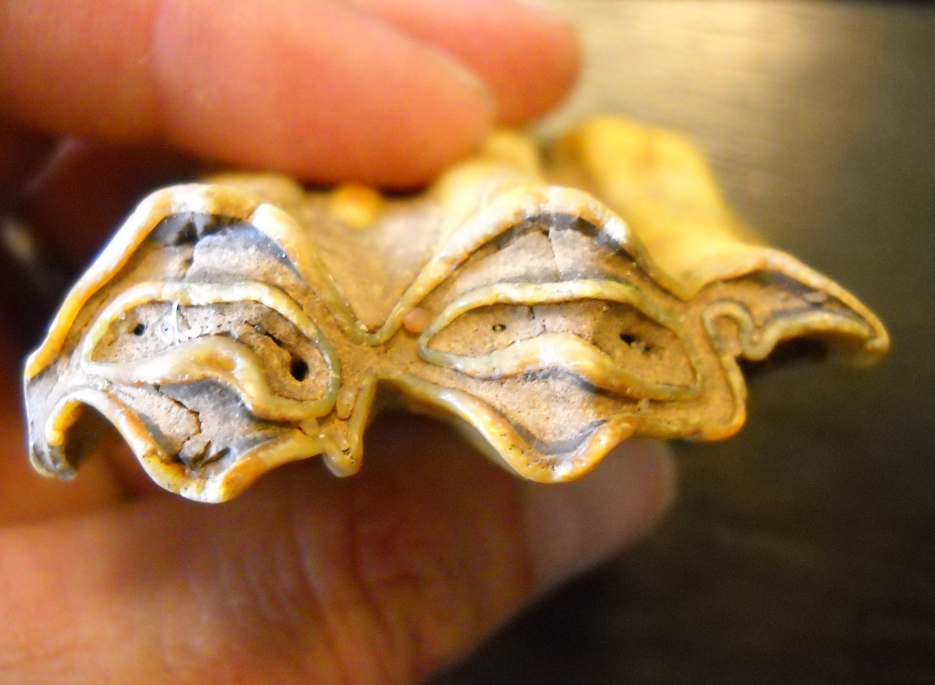 Bison Tooth? - Fossil ID - The Fossil Forum