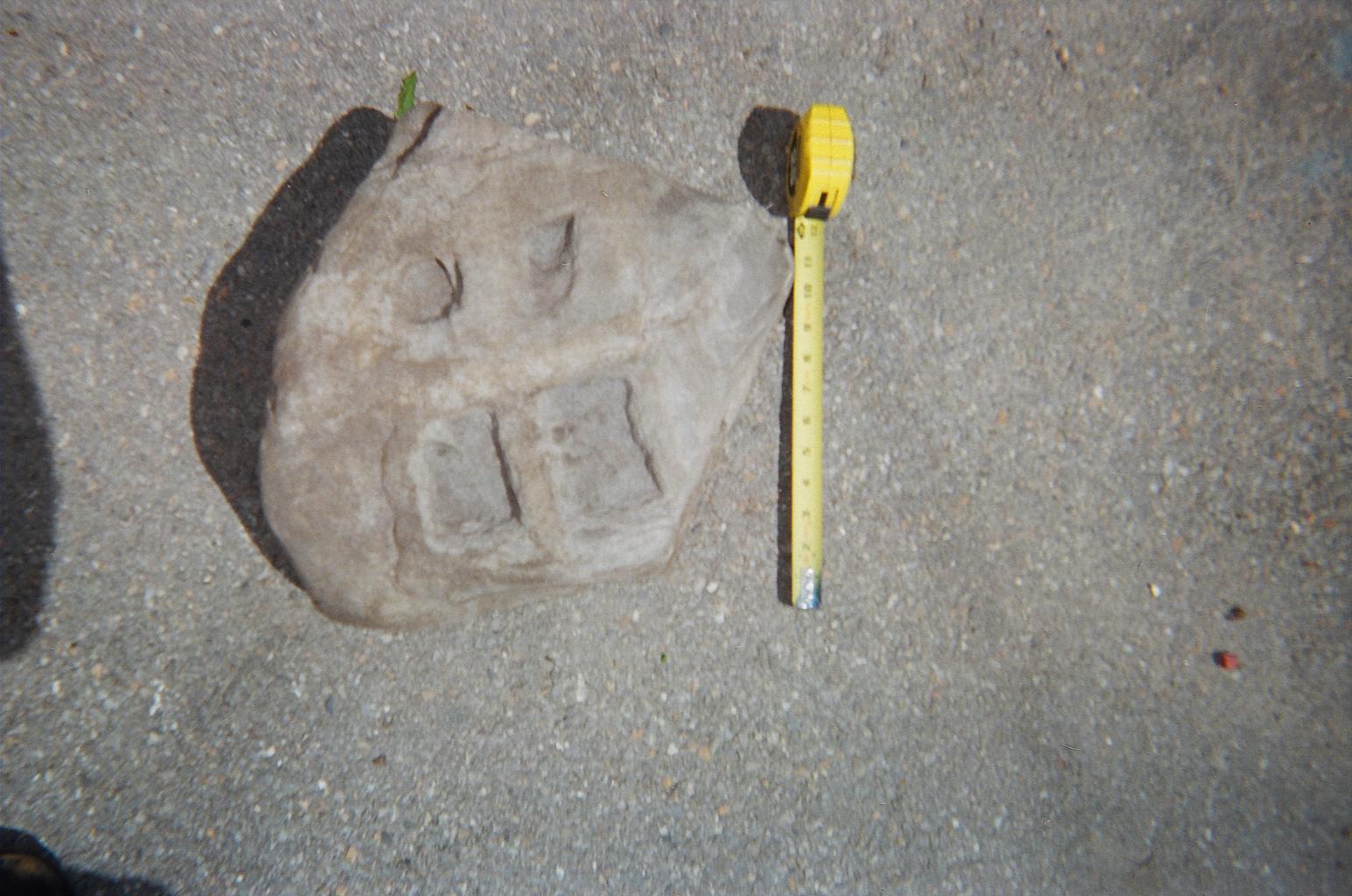 Man Made Or Fossel - Fossil ID - The Fossil Forum