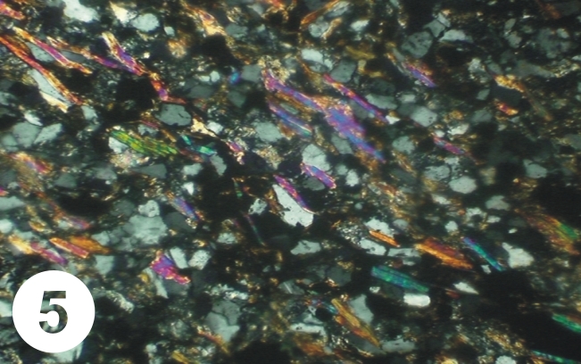 Minerals And Coal Under Microscope - General Fossil Discussion - The ...